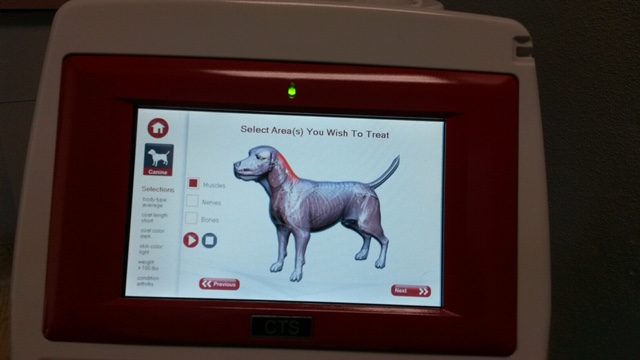 Companion Laser Therapy in Suisun City, CA | All 4 Paws Veterinary Hospital